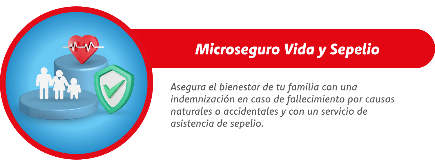 CAMPAÑA SEGUROS - Caja Ica